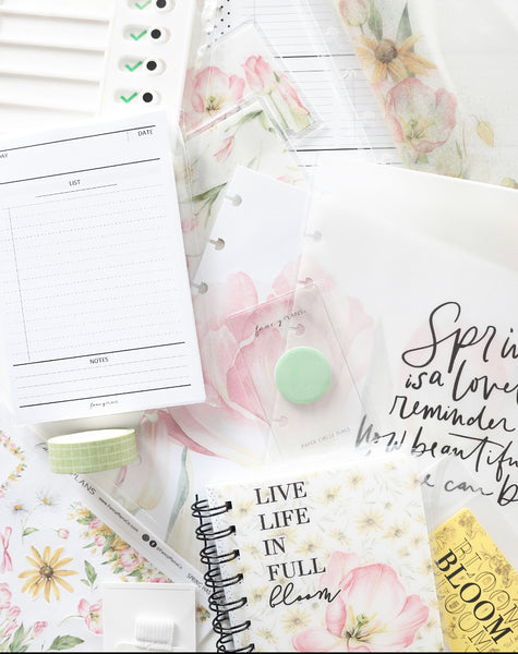 Collection Club Quarterly Subscription Box – Fancy Plans Co